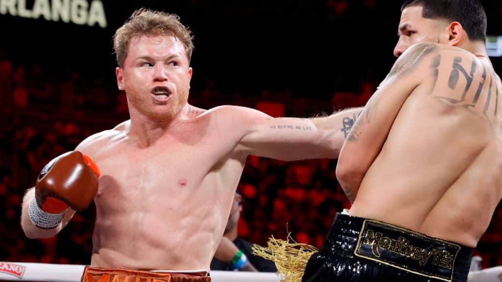 Los mejores memes de la victoria del Canelo Álvarez - Juanfutbol